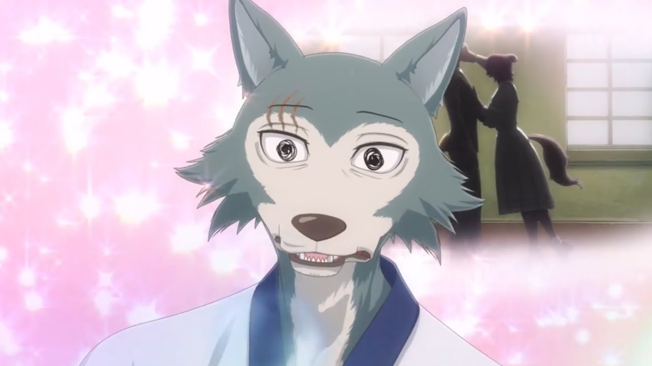 Juno talks to Legoshi about Louis | Beastars Season 3 | English Dub ...