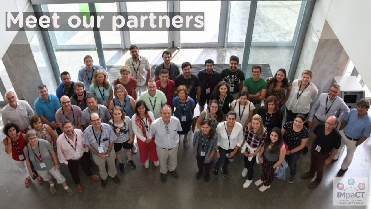 IMpaCT - meet our partners - YouTube