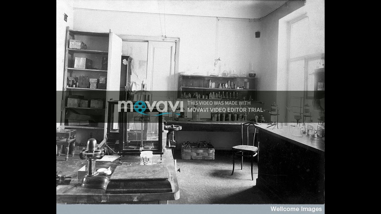 Life & Works of I. P. Pavlov - YouTube