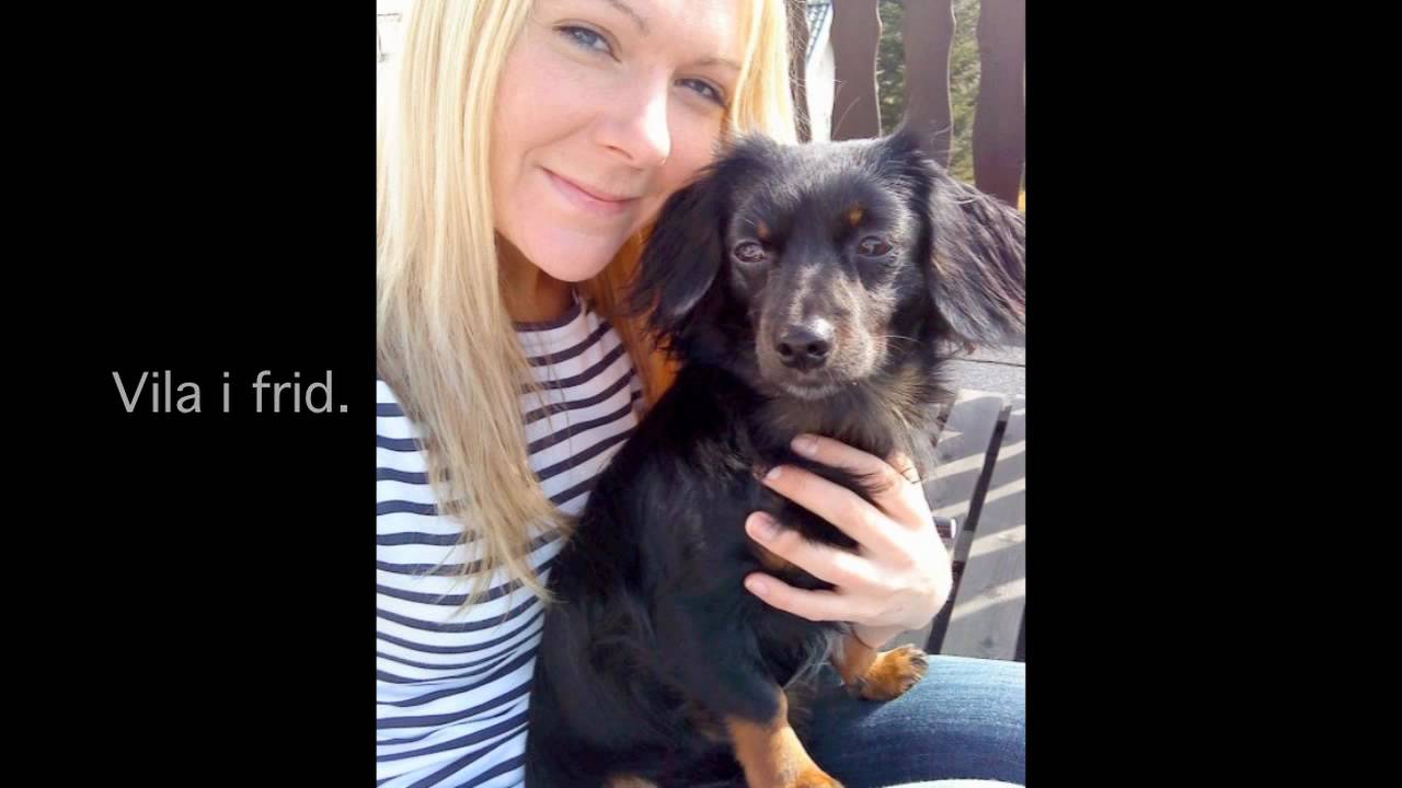 Elin Krantz begravning i Falköping 15/10. - YouTube