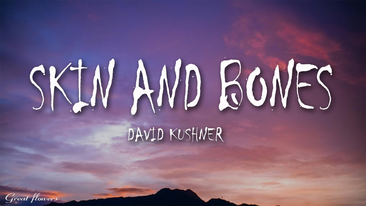 David Kushner - Skin and Bones (Lyrics) - YouTube