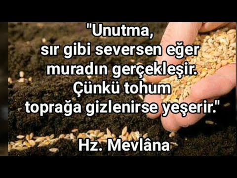 Sevmek güzel şey ❤️ En Güzel Sözler ❤️ Kısa Anlamlı Sözler 🌹 Etkileyici Sözler 🌹 Duygusal Sözler ❤️