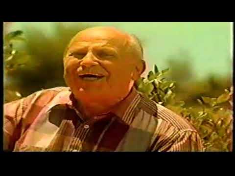 August 1995 USA Network Las Vegas Commercials