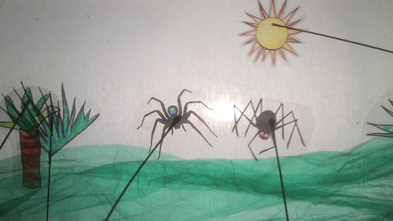 Anansi the Spider and His Six Sons - YouTube