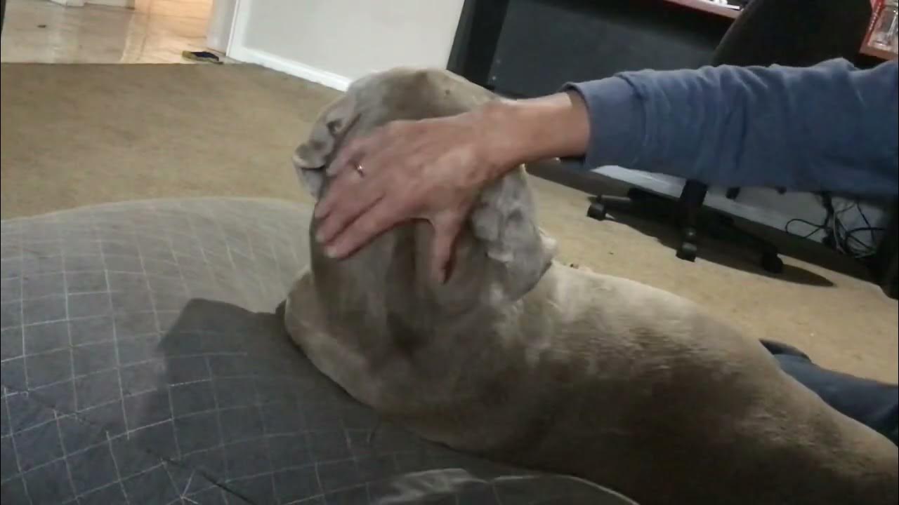 Massage Techniques Youtube