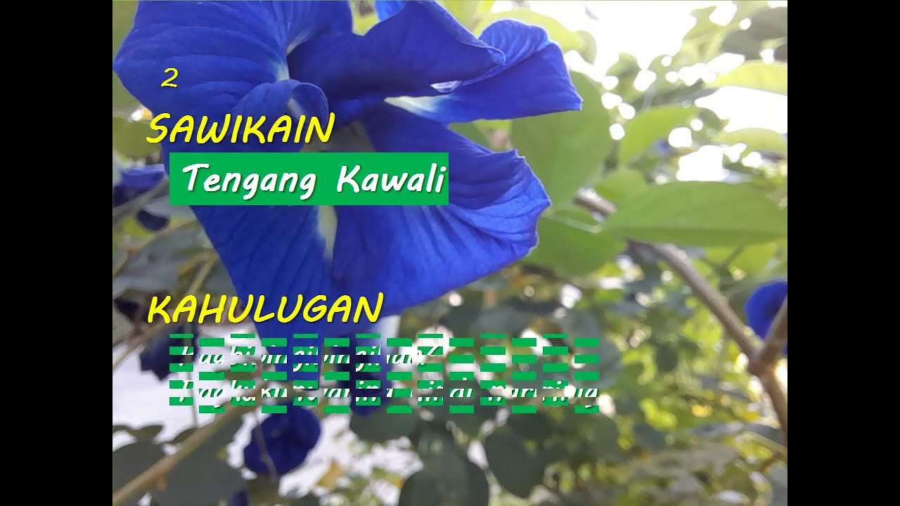 Sawikain / Idioms / Halimbawa + Kahulugan / Filipino - YouTube