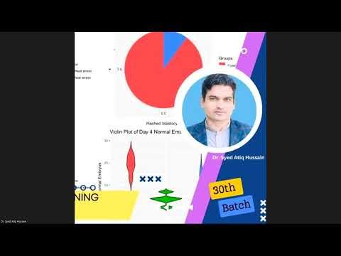 35 Batch: what is the difference between R and R studio - YouTube