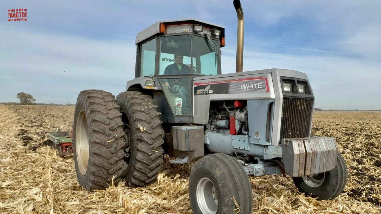 WHITE 195 Tractor Chisel Plowing - YouTube