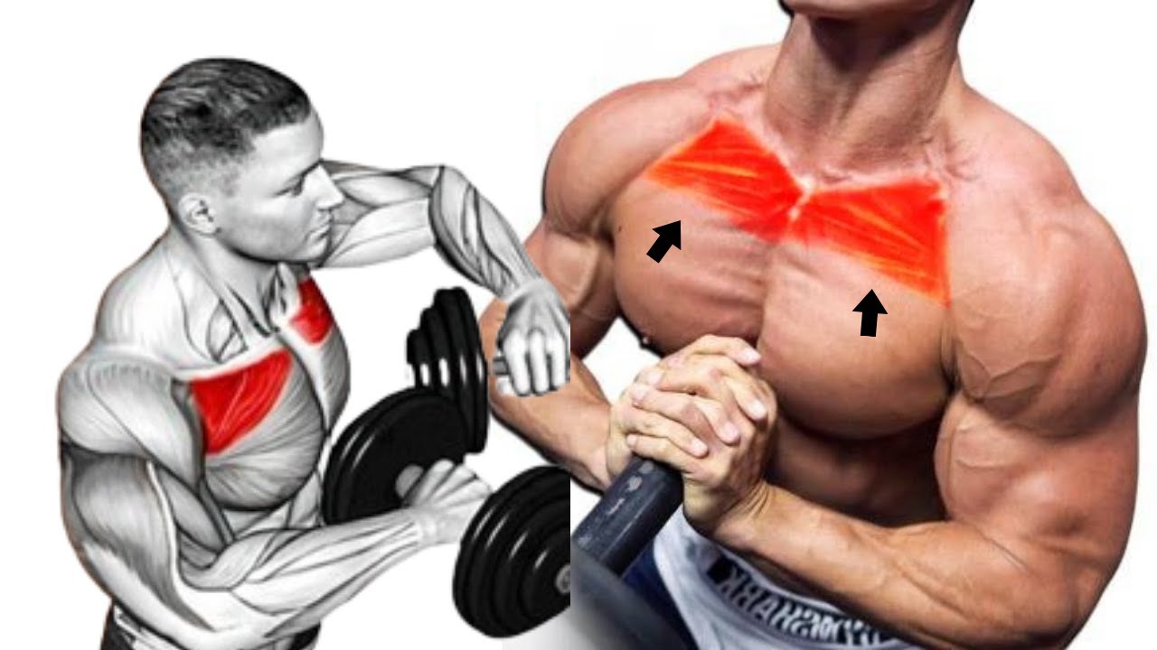 6 Super Brutal Exercises for Upper Chest | 6 EXs - YouTube