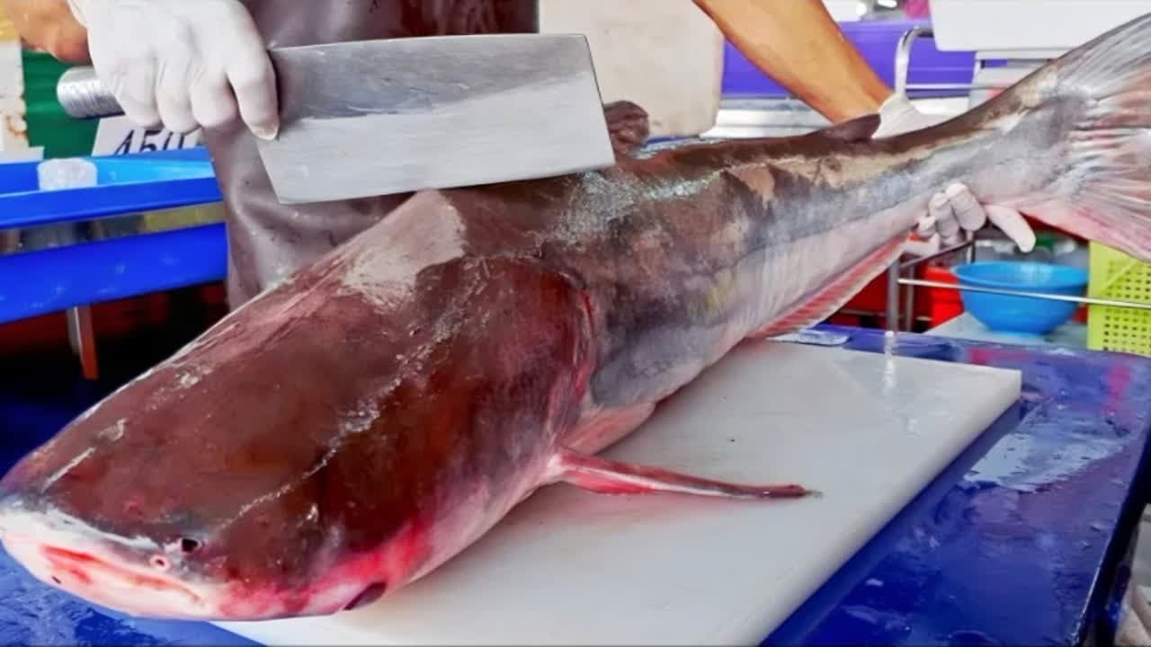 重达几十斤的巨型大鱼，见识一下外国人是怎样把它宰杀做美食的！ - YouTube