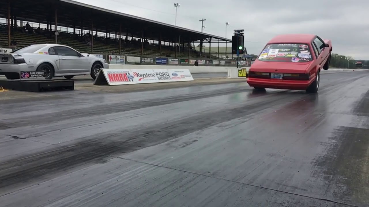 Coyote Stock Jacob Lamb on the Bumper - YouTube