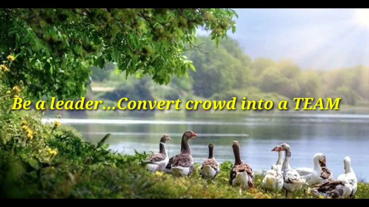 Team Work... Learn Teamwork from the flight of Geese - YouTube