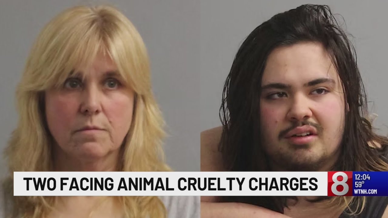 2 arrested, 40 animals seized in Sterling animal cruelty investigation ...