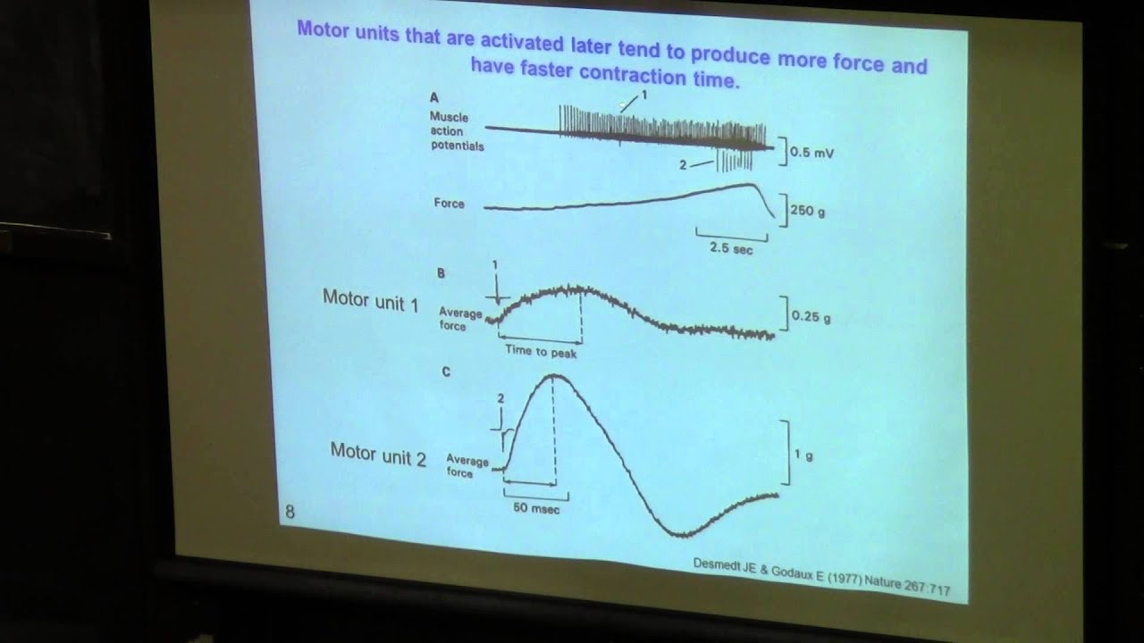 16_03_23: SBE II: Lecture 23: Dr. Reza Shadmehr - YouTube
