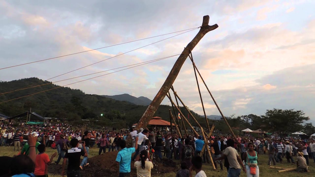 L'albero del Sakelo 2013, nel momento in cui viene "piantato" - YouTube