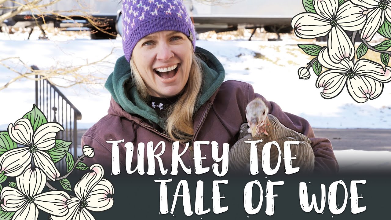The Severed Turkey Toe - YouTube