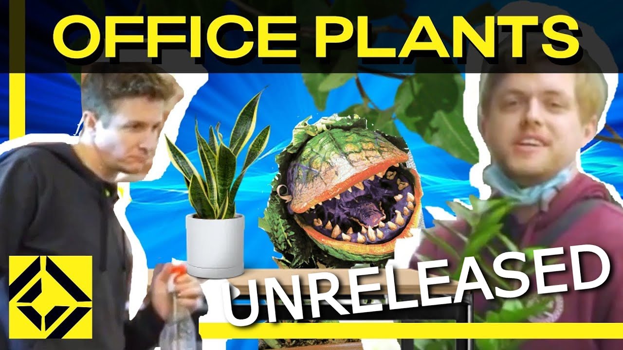 UNRELEASED CORRIDOR CREW VIDEO - "We Redecorated the Corridor Office ...