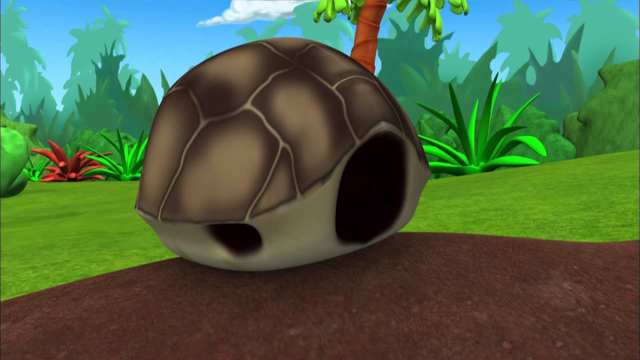 Zigby - Zigby et la tortue (EP. 52) - YouTube