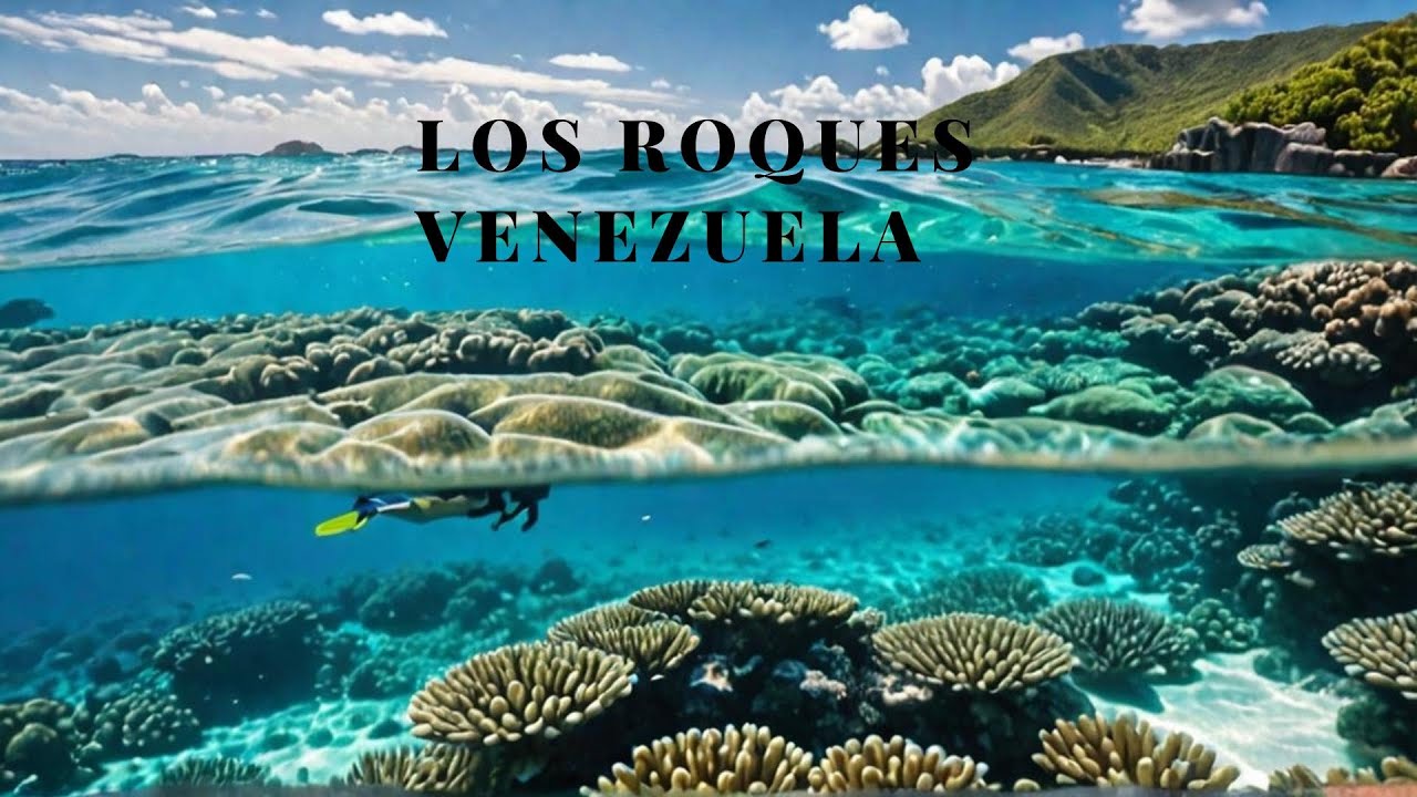 The Best Diving In The Caribbean: Los Roques, Venezuela - YouTube
