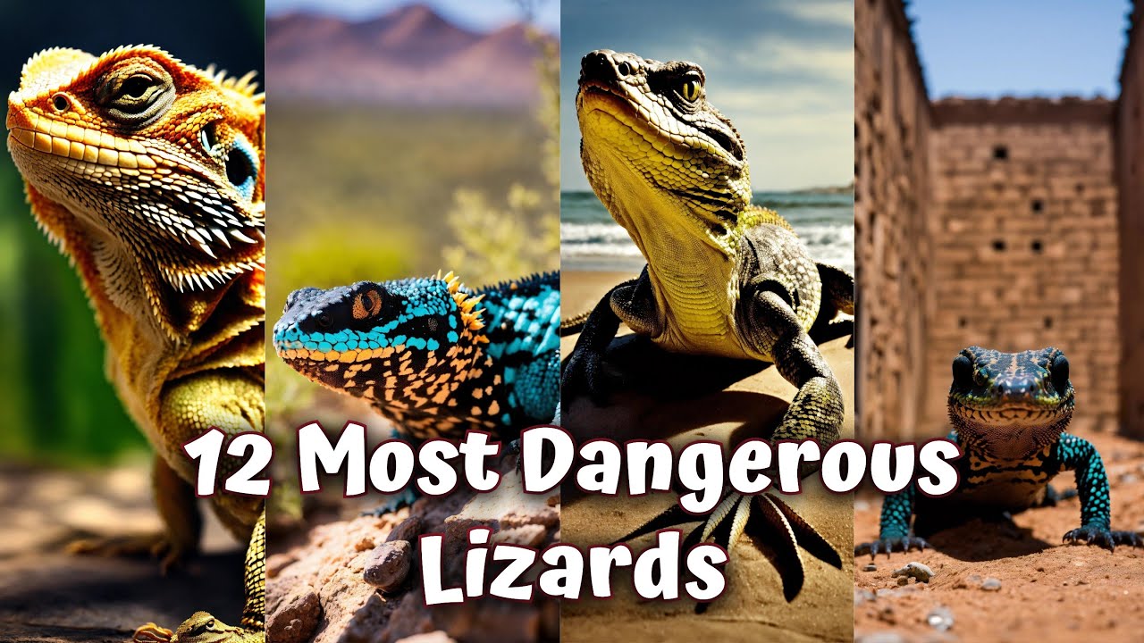 12 Most Dangerous Lizards You Should Never Mess With! - YouTube