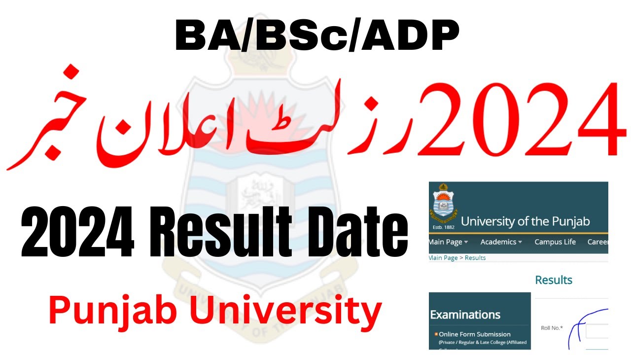 BA BSc Results 2024 | ADP Results 2024 | ADA ADS ADC Results Date 2024 ...