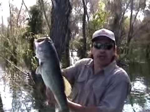Bass Fishing on Lake Guerrero Mexico - YouTube