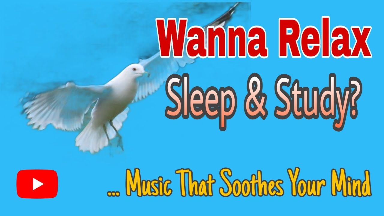 Soothing OCEAN WAVES and SEAGULLS Sleep Sounds: Seagull Sounds, Sounds ...