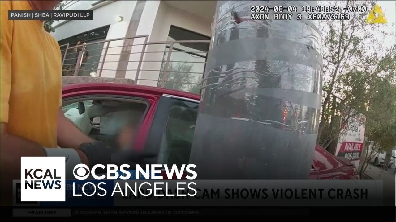 Video shows LAPD crash city of LA is being sued over - YouTube