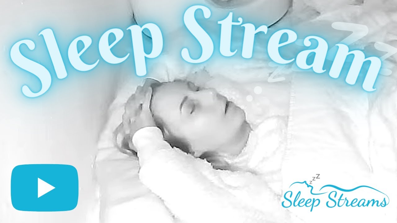 live ASMR Sleep/Snore Stream with Puppies - YouTube