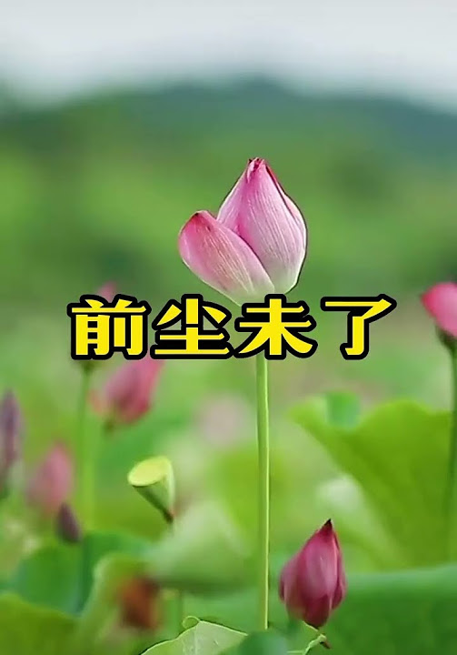 笑的很开心的一天! Shorts Youtube
