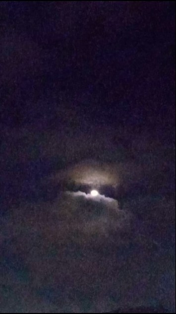 Moonlight Scene 🌌🌖🌛🌕🌌 - YouTube