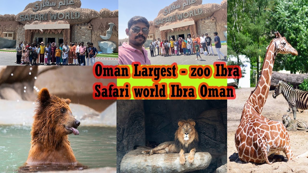 Oman Largest Zoo | Ibra zoo | Ibra - Wildanimal | Birds | Safari World ...