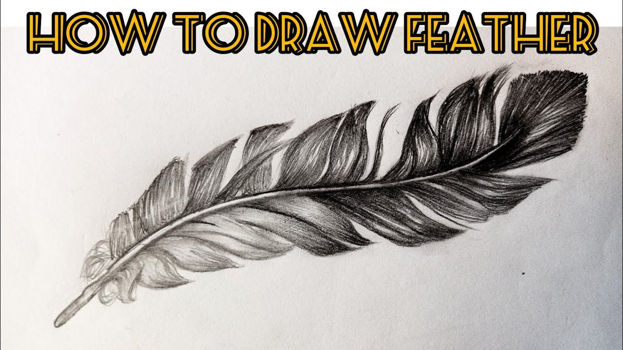 how to draw a feather | how to draw a feather with pencil - YouTube