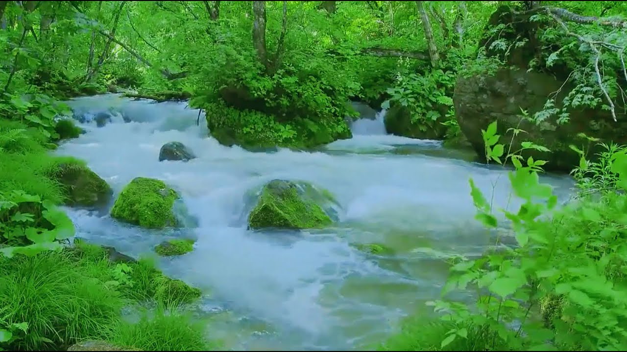 Amazing Mountain River Flowing Sound 4K- Green Scenery View For Relax ...
