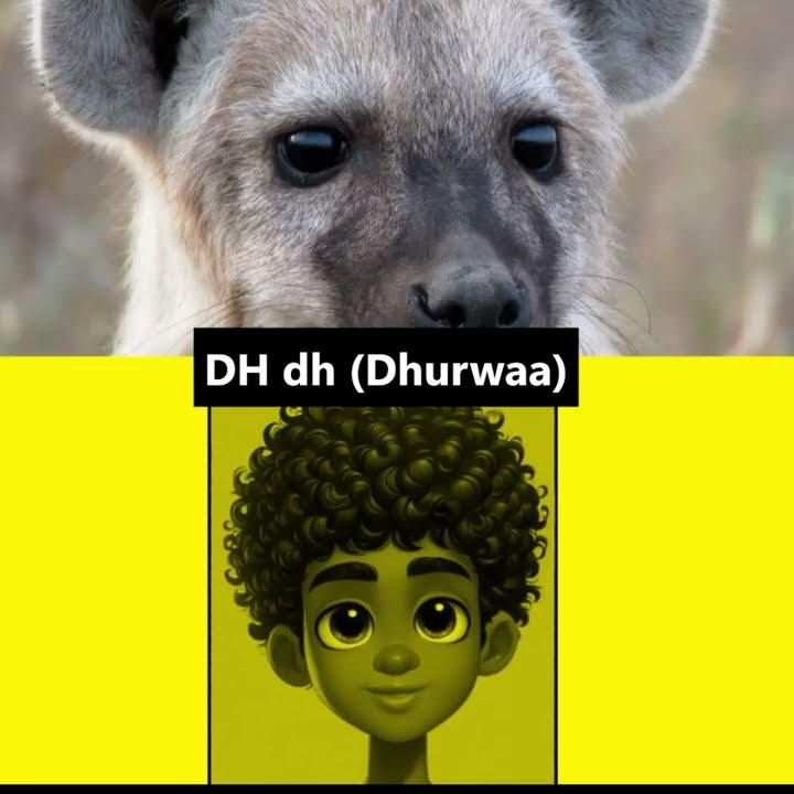 Xarfaha Afka hooyo kubar xayawaanada - YouTube