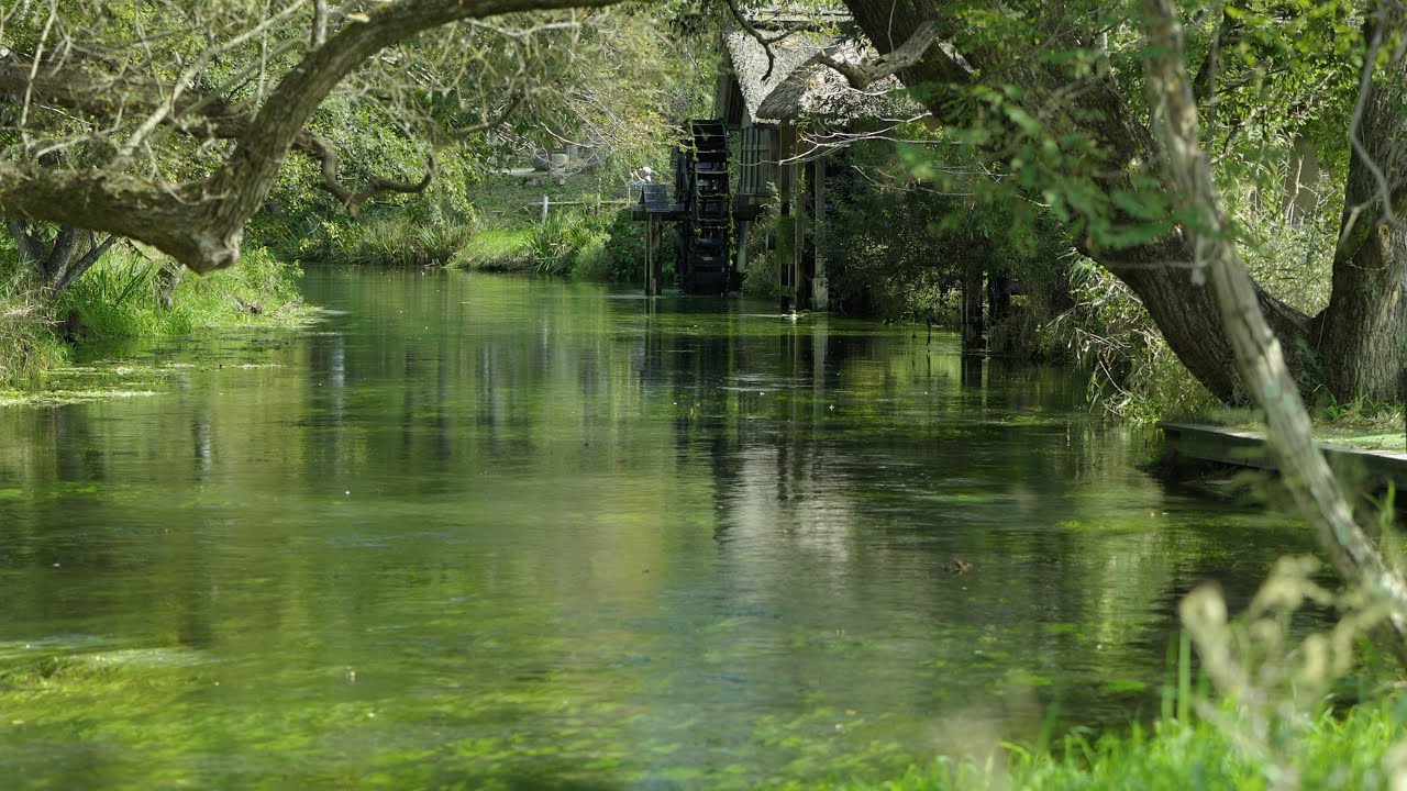 安曇野の湧水 River of spring water in AZUMINO - YouTube