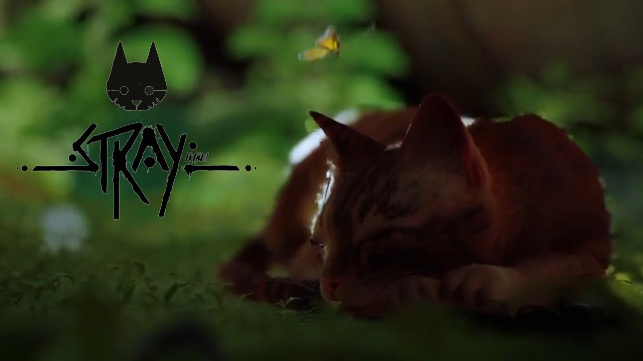 Stray Walkthrough - Cozy Cat Adventure - YouTube