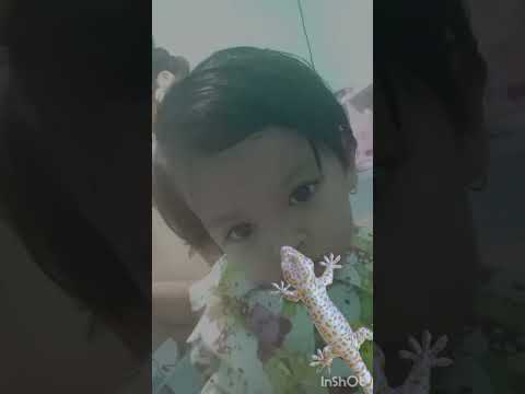 mochi bayi 