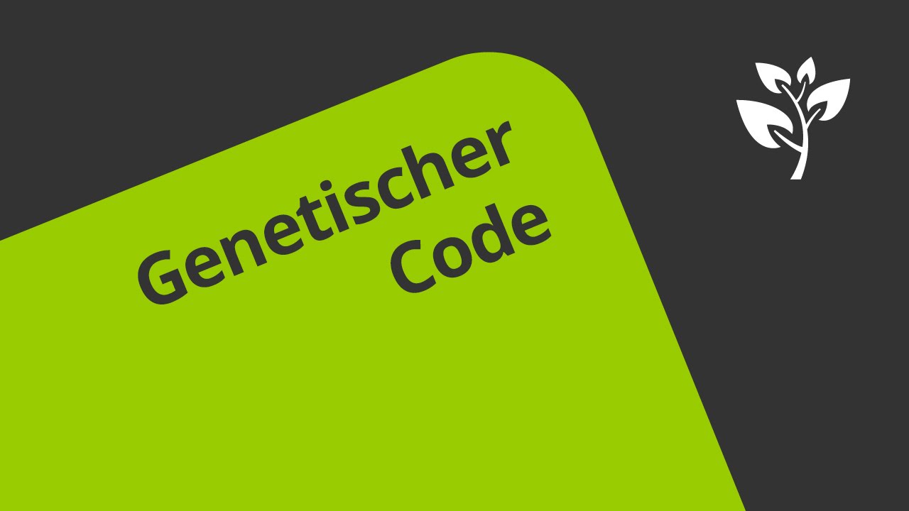 Verschlüsselung der Erbinformation: genetischer Code | Biologie ...