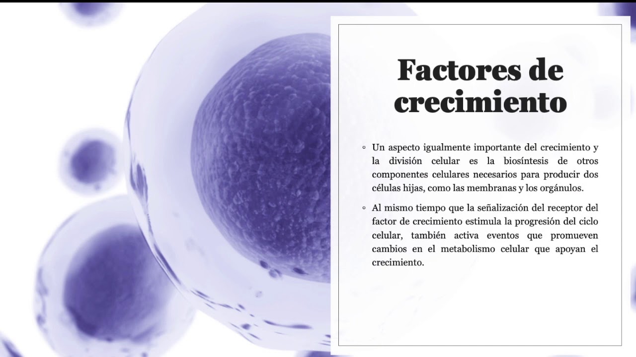 Proliferación celular, factores de crecimiento Mecanismos de ...