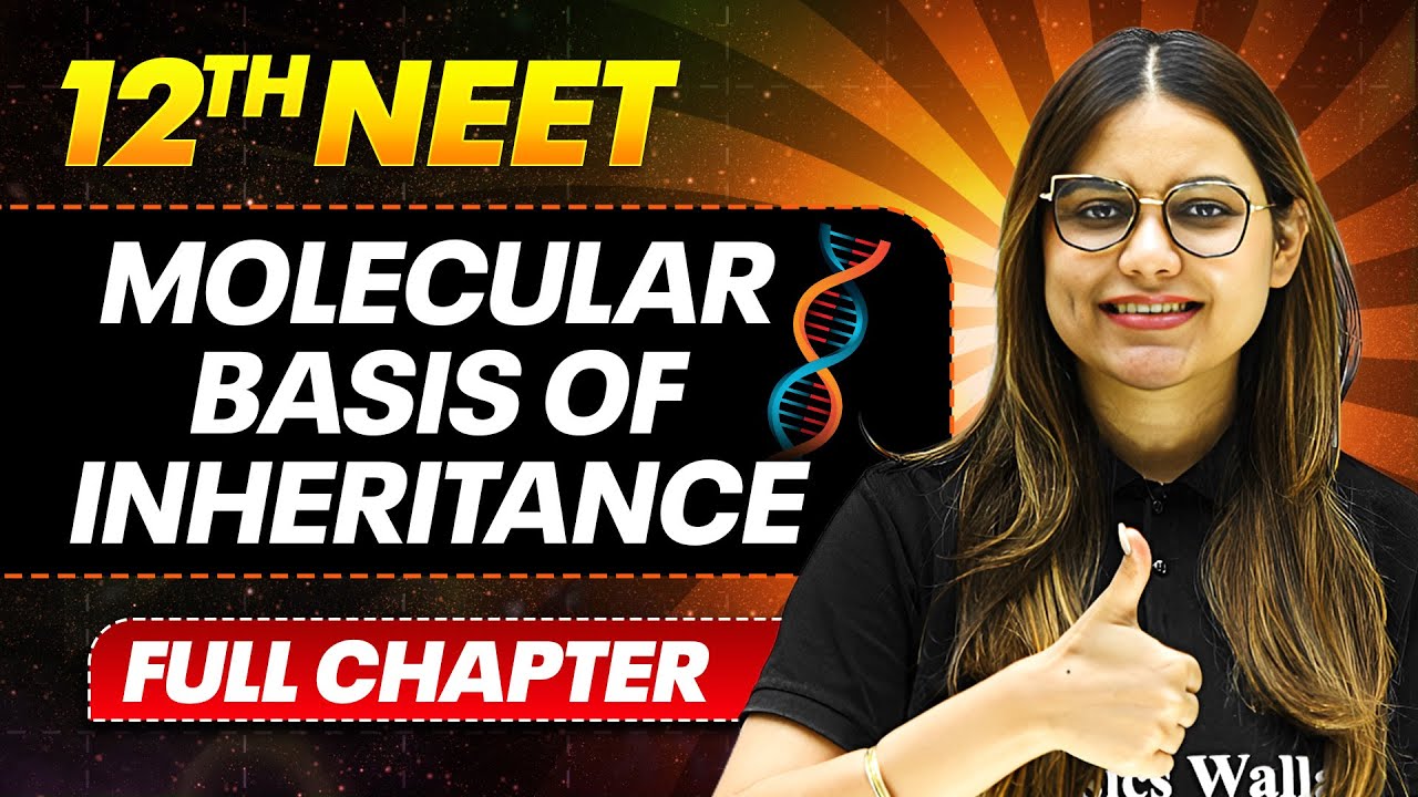 Molecular Basis of Inheritance FULL CHAPTER | Class 12th Botany ...