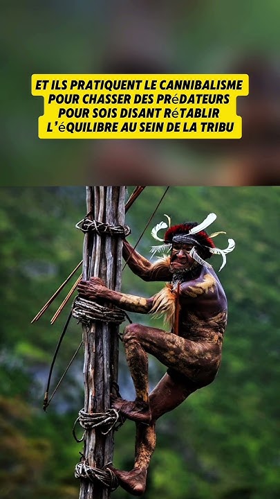 Les tribus les plus dangereuses et les plus effrayantes du monde et ...