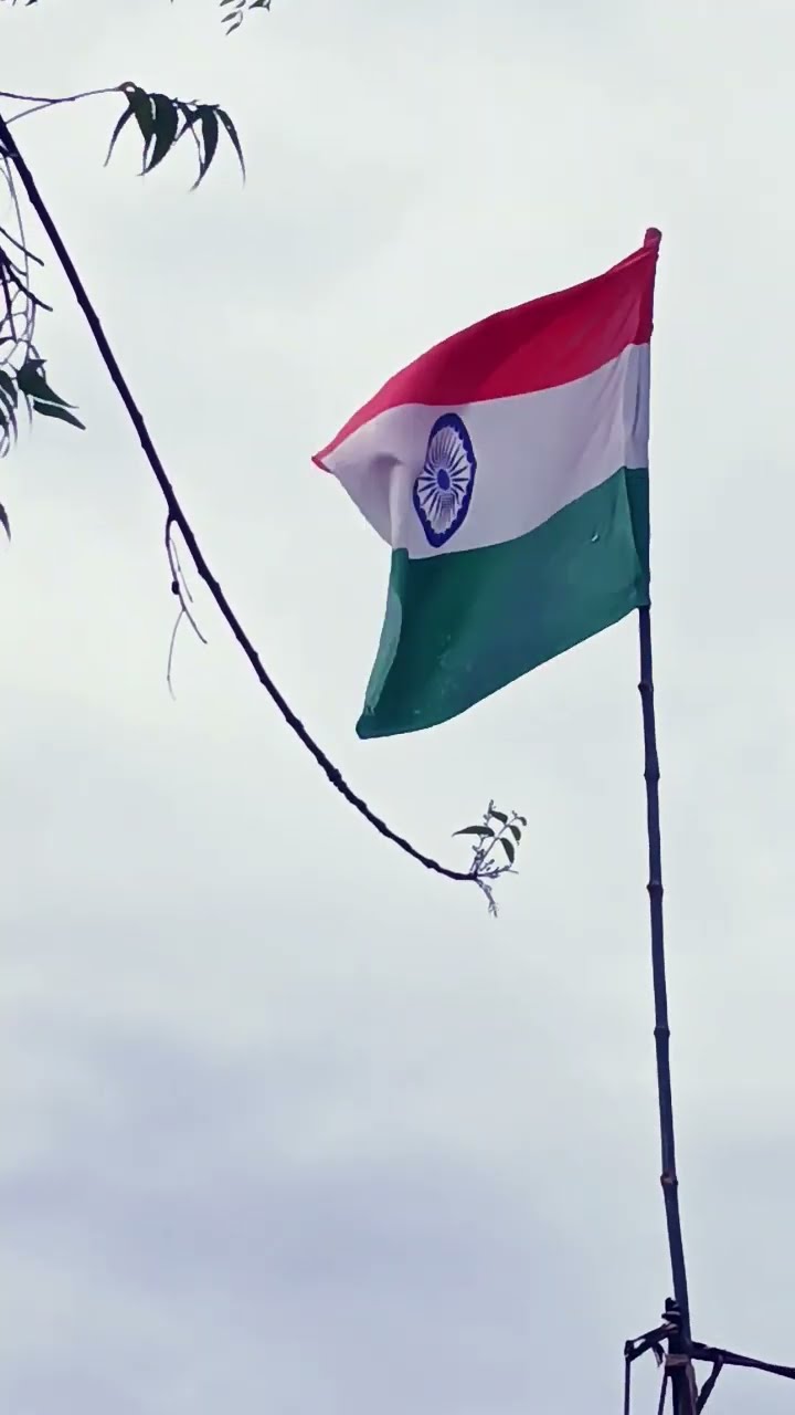 20 August 2024 - YouTube