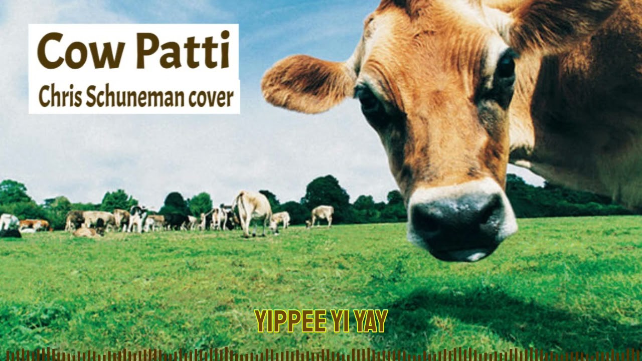 Cow Patti - YouTube