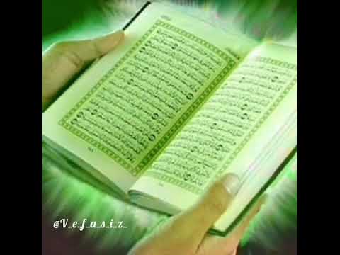 Sabahınız xeyir dostlar 🙋