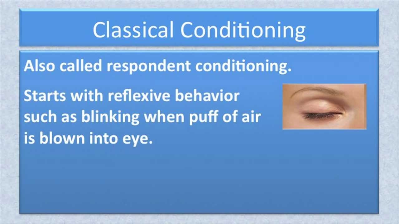 Classical Conditioning How It Works With Examples