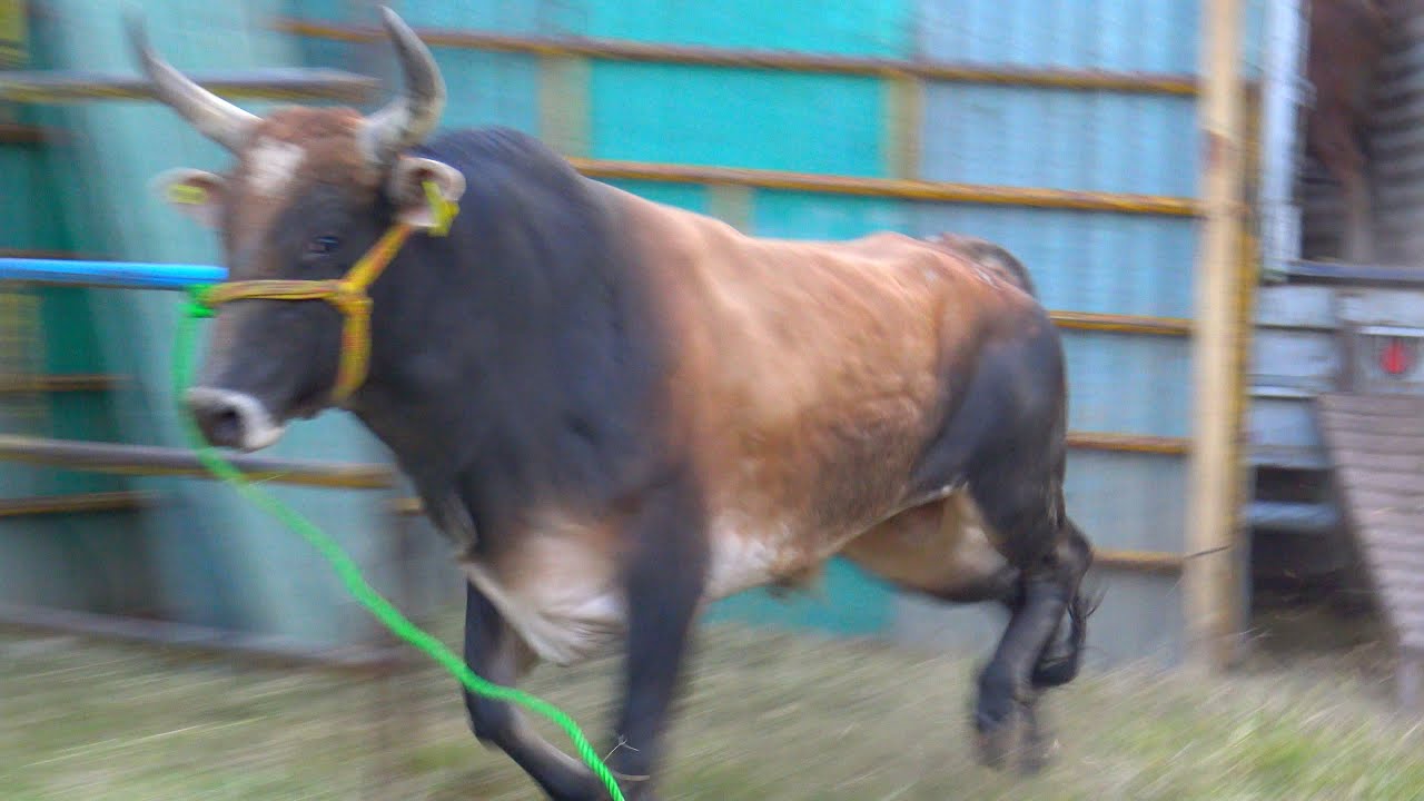 SIEMPRE EN EL GUSTO DE LA GENTE!! Rancho La Palma En Jalmolonga Edo Mex ...