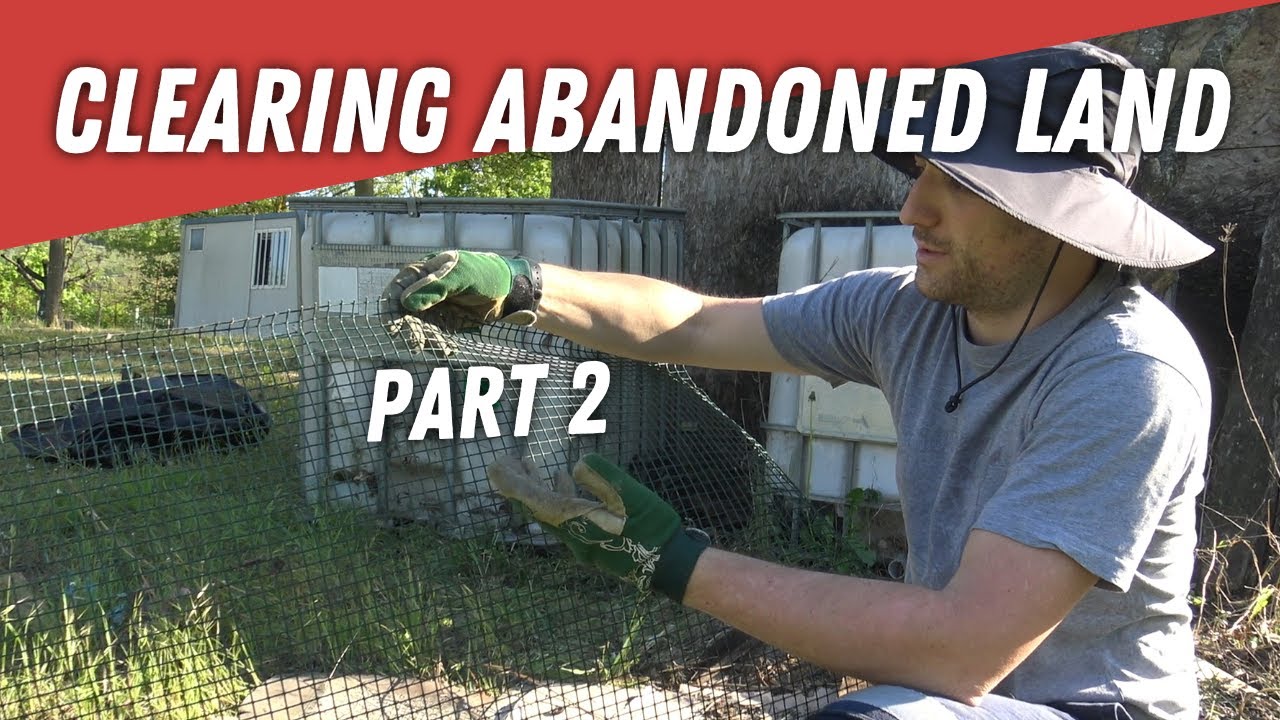 My FIRST COMPOST pile and more - Clearing the abandoned OFF GRID LAND ...