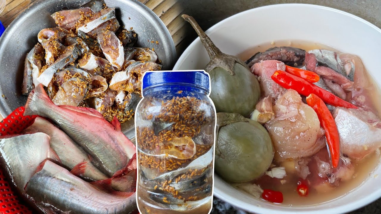 របៀបធ្វេីផ្អត្រីប្រា អង្កលីង ឆាប់ជូឆាប់បានញាំ ...