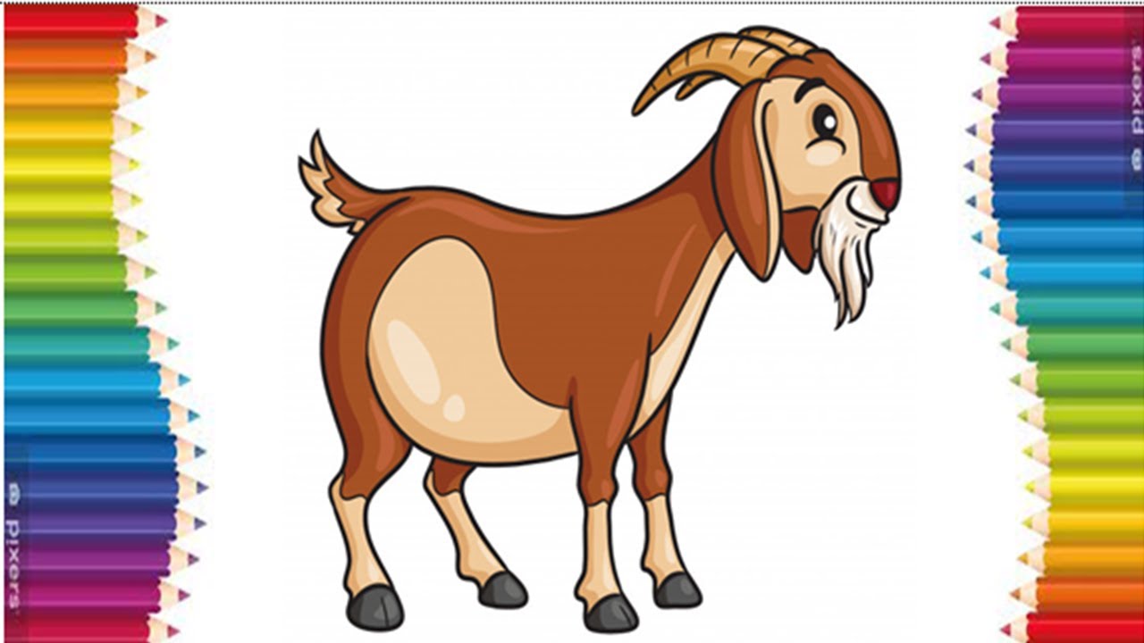 how to draw gote coloring - YouTube